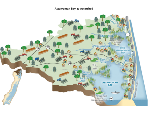 Assawoman Bay - Maryland Coastal Bays Program