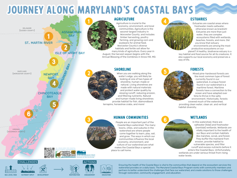 Coastal Bay Map - Maryland Coastal Bays Program