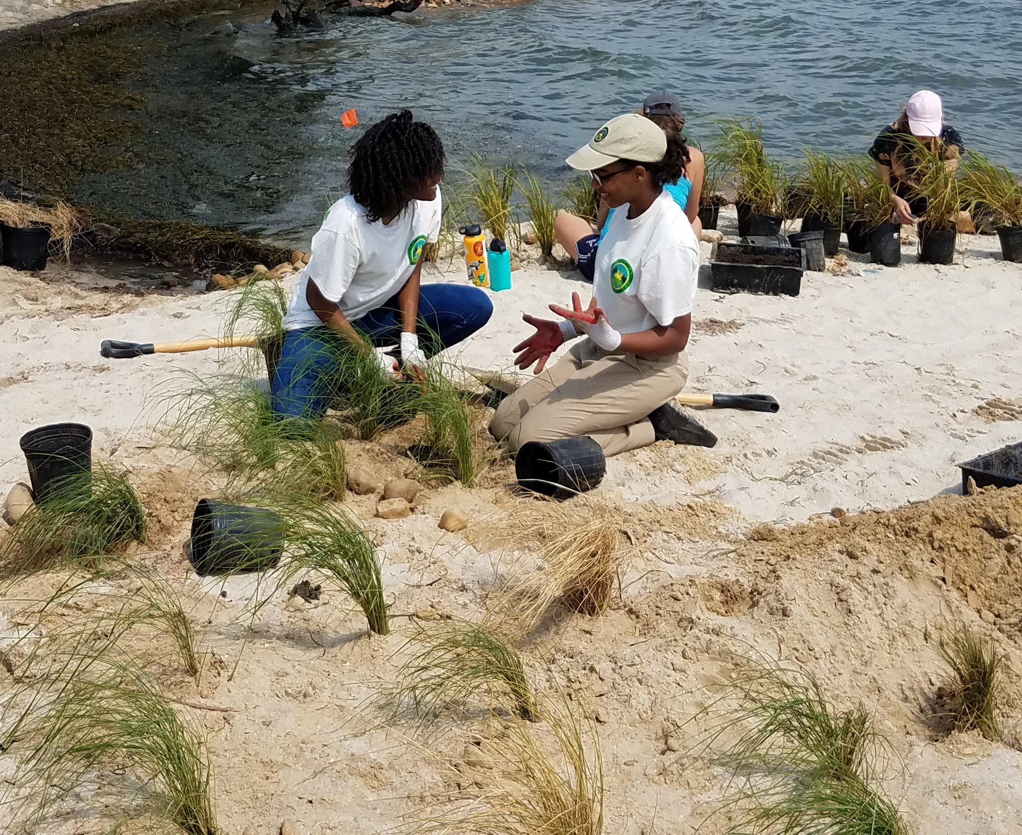 Grass Planting - Maryland Coastal Bays Program
